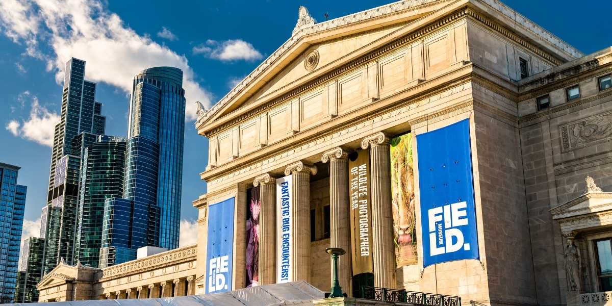 Explora el Field Museum de Chicago: Historia Natural, Gemas y ...